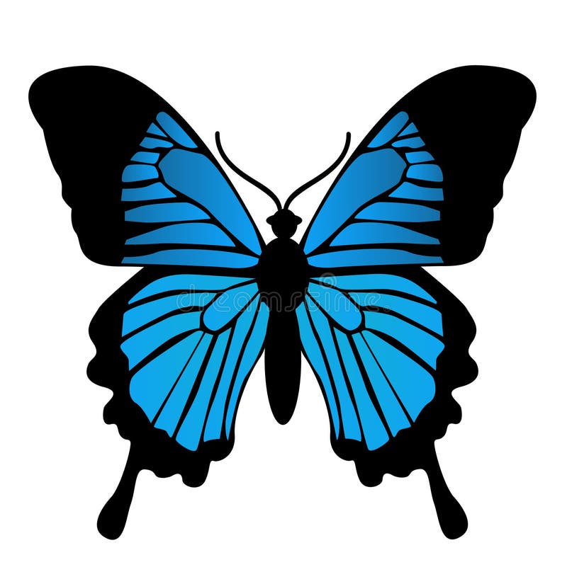 Papillon. Illustration De Vecteur Illustration de Vecteur ...