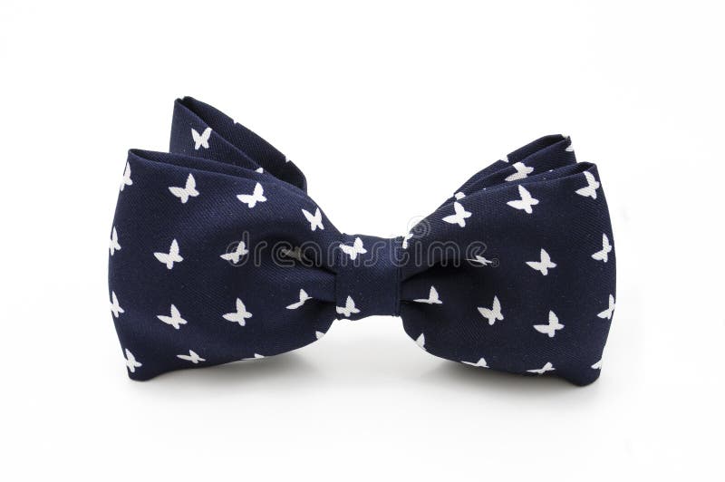 Papillon for man stock image. Image of young, wait, adjust - 27372533