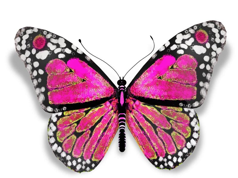Papillon Rose Stock Illustrations, Vecteurs, & Clipart – (37,263 Stock ...