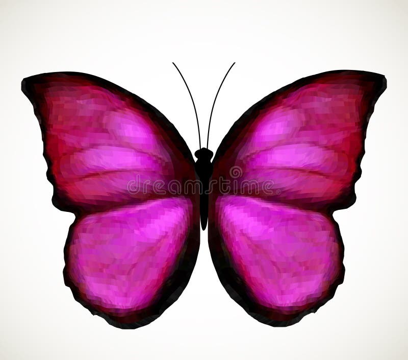 Papillon rose illustration stock. Illustration du ailes - 26007868
