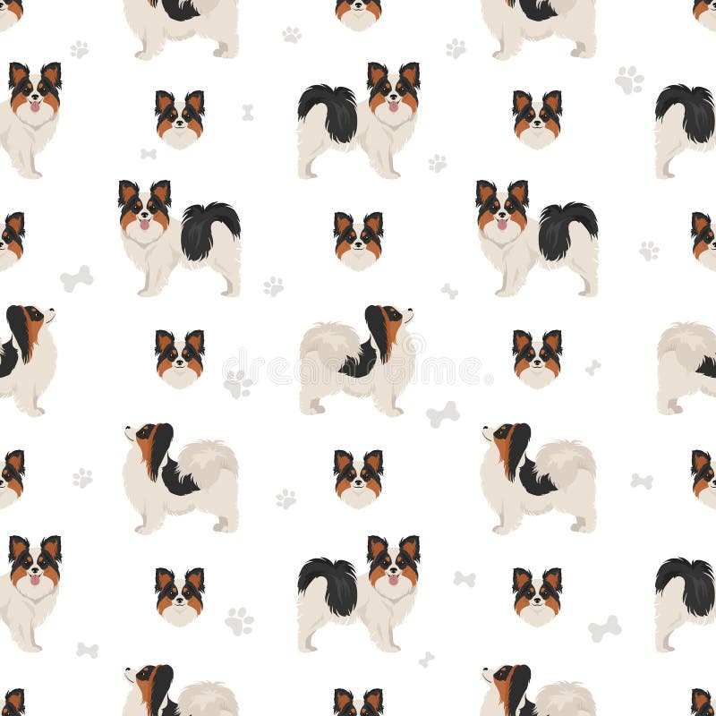 Papillon Seamless Pattern. Different Poses, Coat Colors Set Stock ...