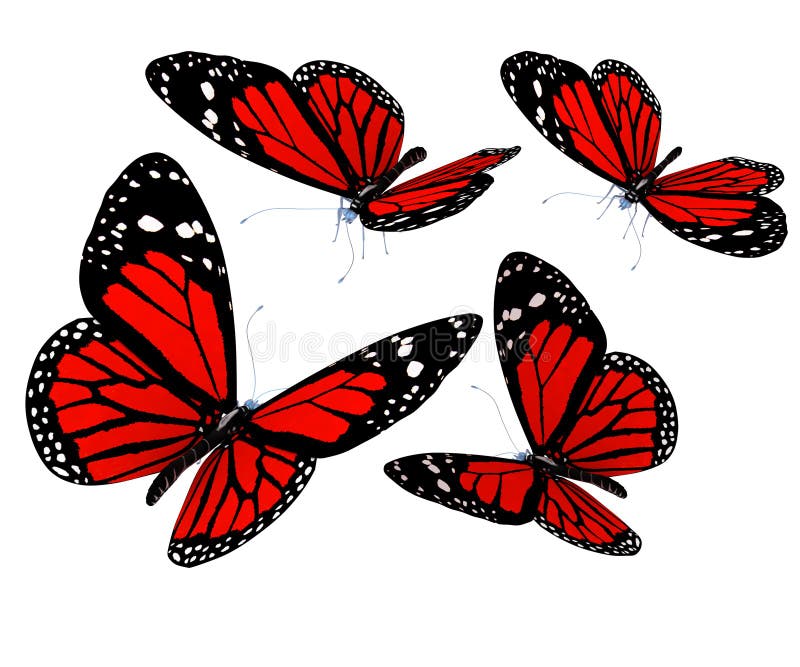 Papillons Rouges D'isolement Sur Un Blanc Illustration Stock ...