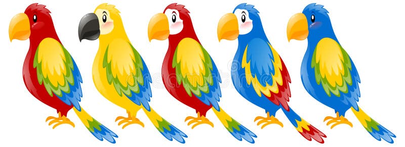 Pappagalli Dell'ara Nei Colori Differenti Illustrazione Vettoriale ...