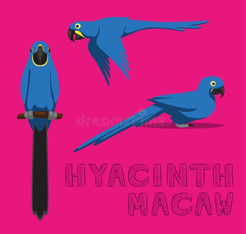 Pappagallo Hyacinth Macaw Cartoon Vector Illustration Illustrazione ...