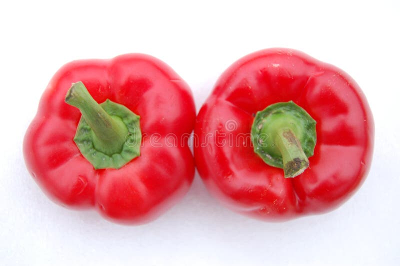 Paprica stock photo. Image of cold, december, field, cloud - 13106856