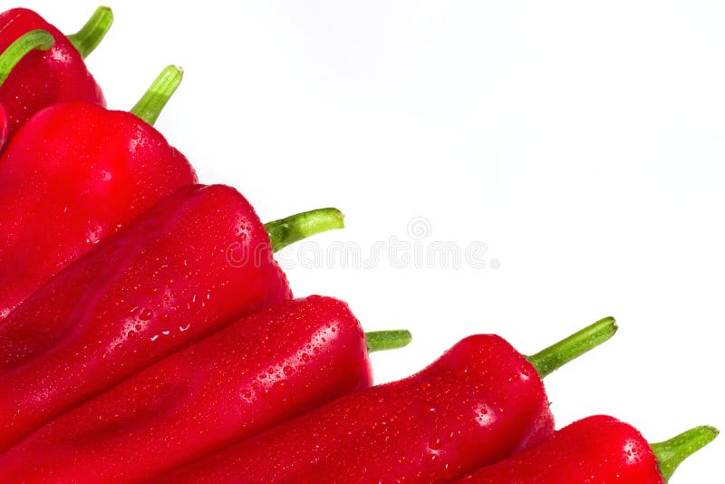 Paprica fotografia stock. Immagine di condimento, luminoso - 18723834