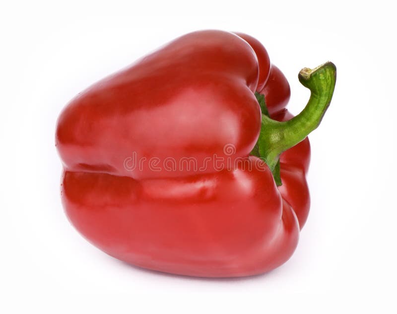 Paprica stock photo. Image of ingredient, lifestyles - 24211006