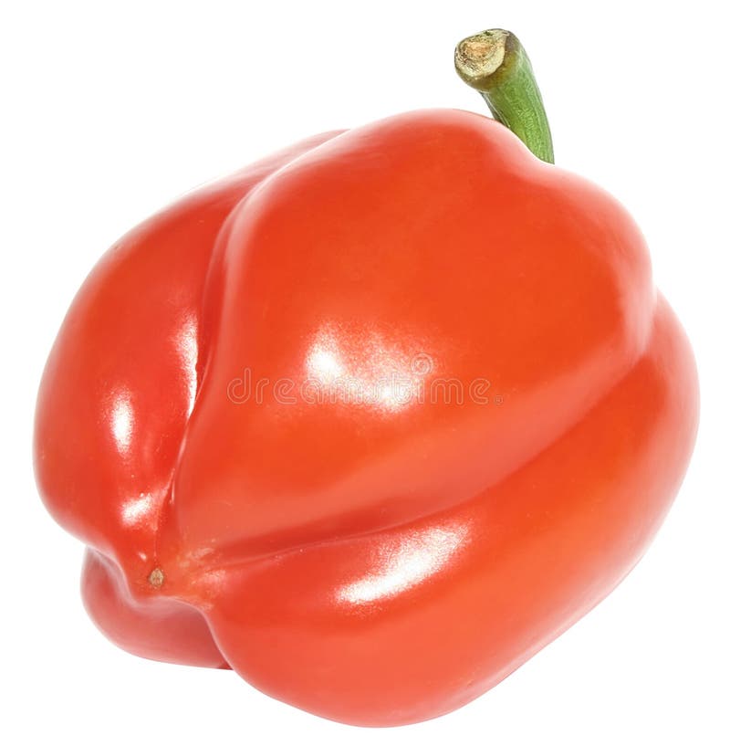 Paprika stock photo. Image of harvesting, healthy, paprika - 10514212