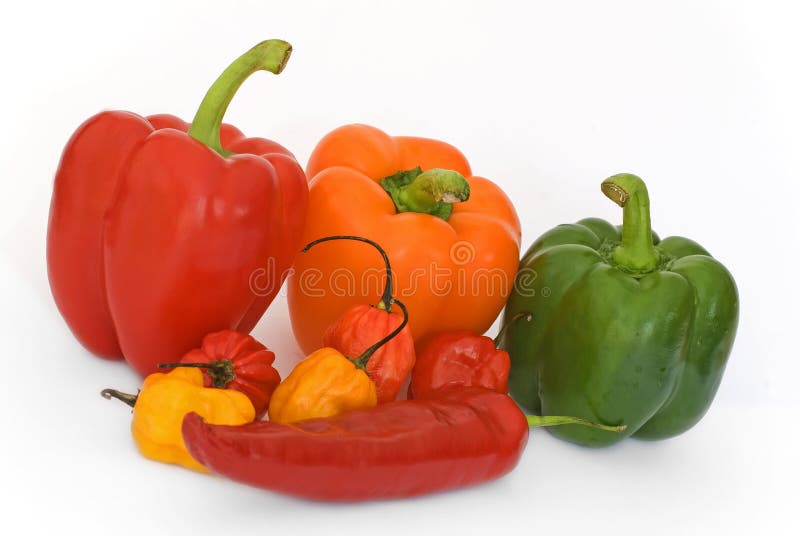 Paprika stock image. Image of isolated, closeup, chilli - 2896561