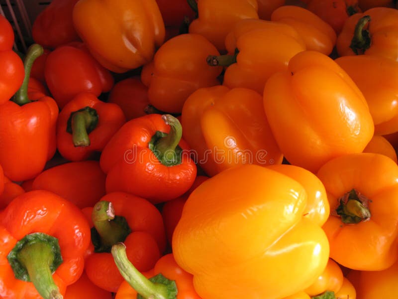 Paprika stock image. Image of paprikas, ingredients, colour - 2906495