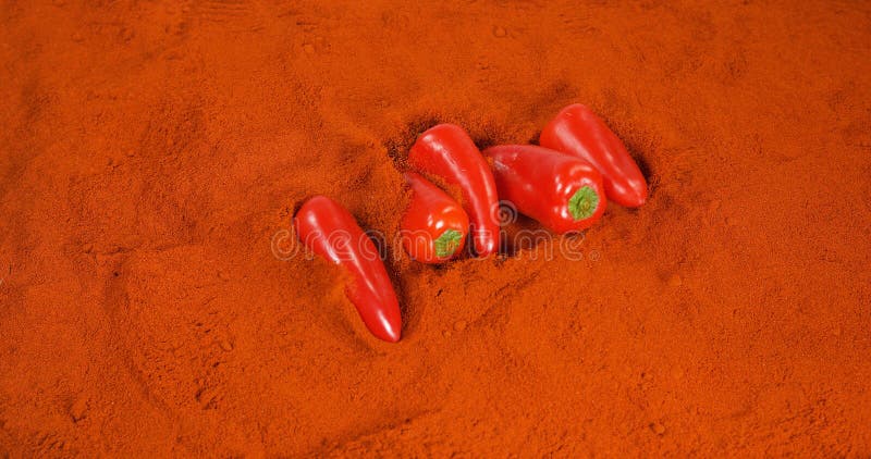 Paprika, Capsicum Annuum, Falling on Paprika Powder Stock Image - Image ...