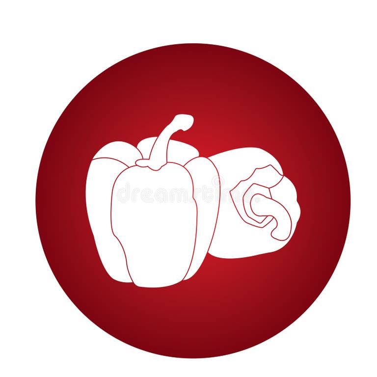 Paprika icon stock vector. Illustration of harvest, restaurant - 290990525