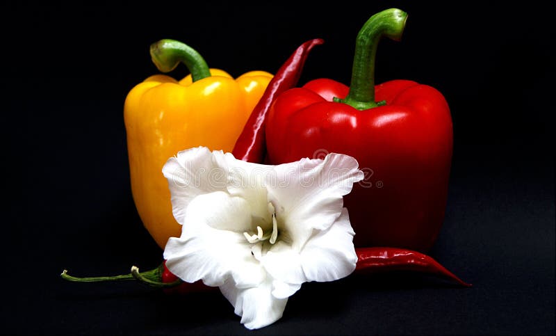 621 Pepperoni Flower Stock Photos - Free & Royalty-Free Stock Photos ...