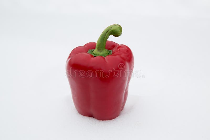 Paprika. Red Bell Pepper on White Snow. Stock Image - Image of white ...