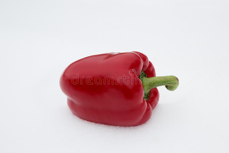 Paprika. Red Bell Pepper on White Snow. Stock Photo - Image of ...