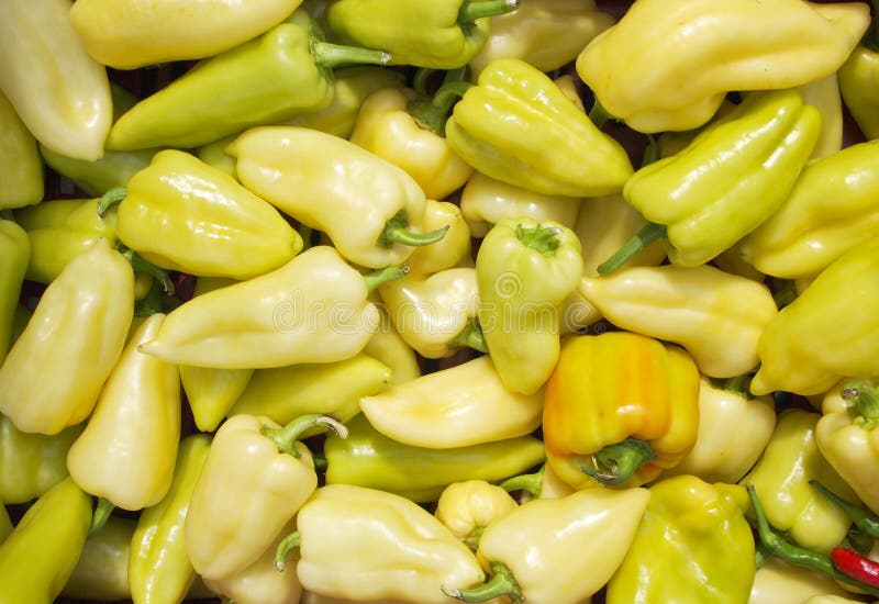 Paprikas stock image. Image of paprika, agriculture, nature - 26657431