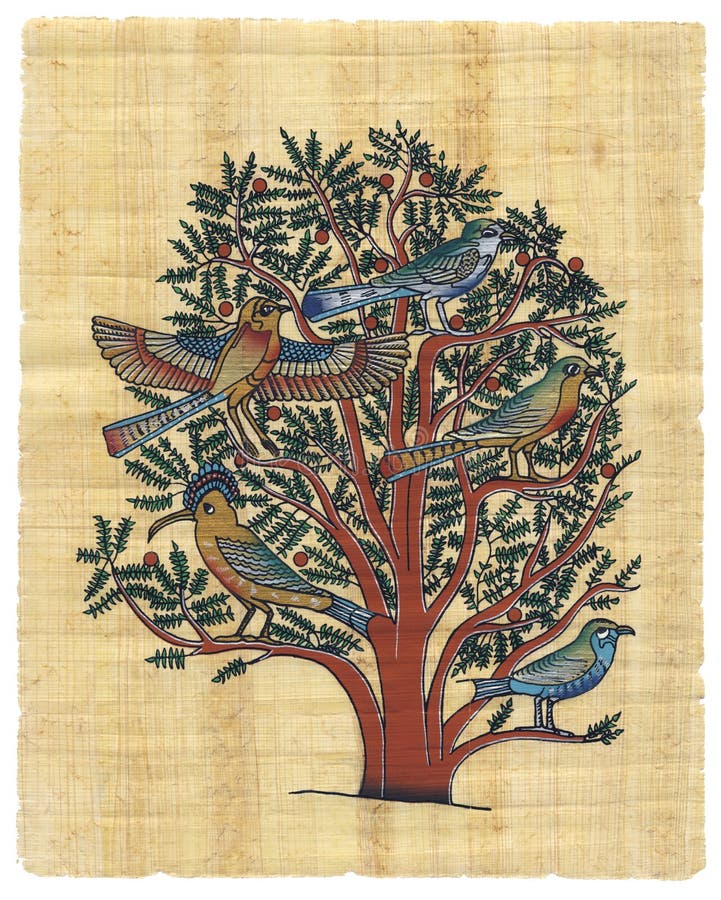 Dessin de papyrus illustration de vecteur. Illustration du antique ...