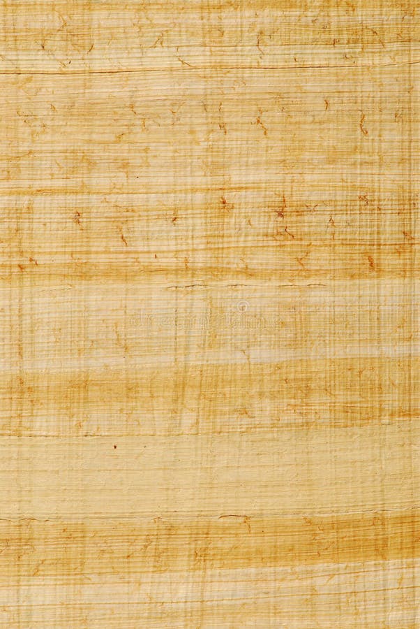Papyrus stock image. Image of organic, design, paper, yellow - 1291805