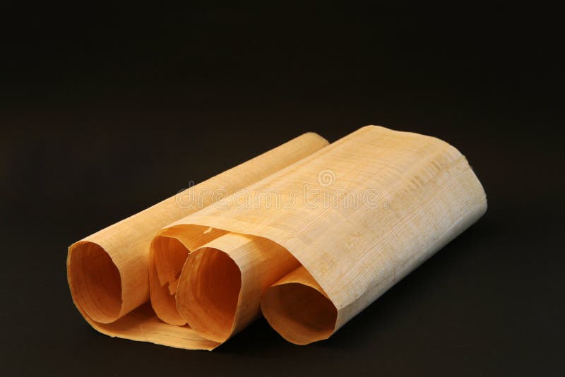 Papyrus stock image. Image of nscribenile, wood, pharaohs - 22933703