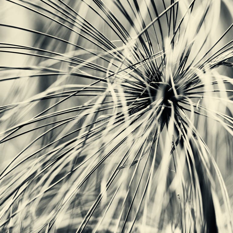 Marsh Grass Texture Stock Illustrations – 1,120 Marsh Grass Texture ...