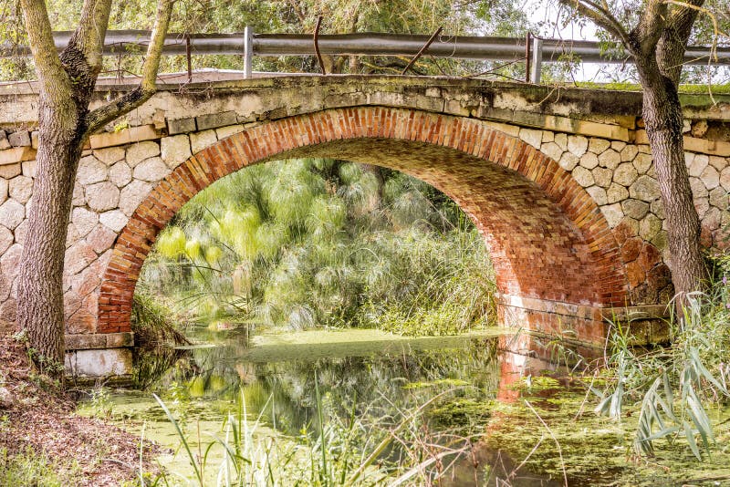 The papyrus bridge stock photo. Image of arch, papyrus - 82585896