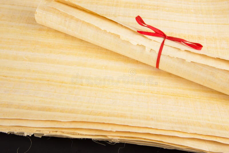 Papyrus stock image. Image of billboard, egyptian, fibers - 36804817