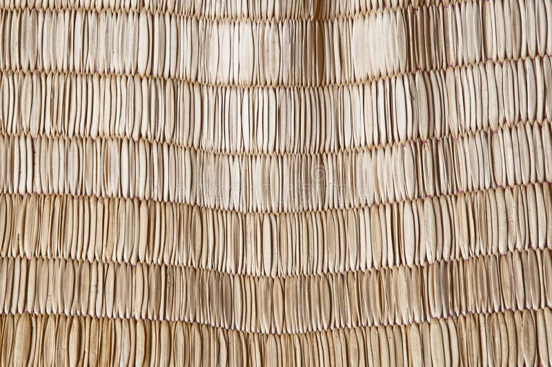 Papyrus mat stock image. Image of texture, material, pattern - 15122565