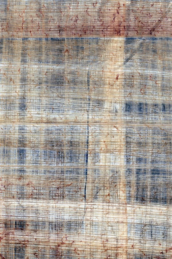 Papyrus stock photo. Image of canvas, lines, antique, dried - 1852206