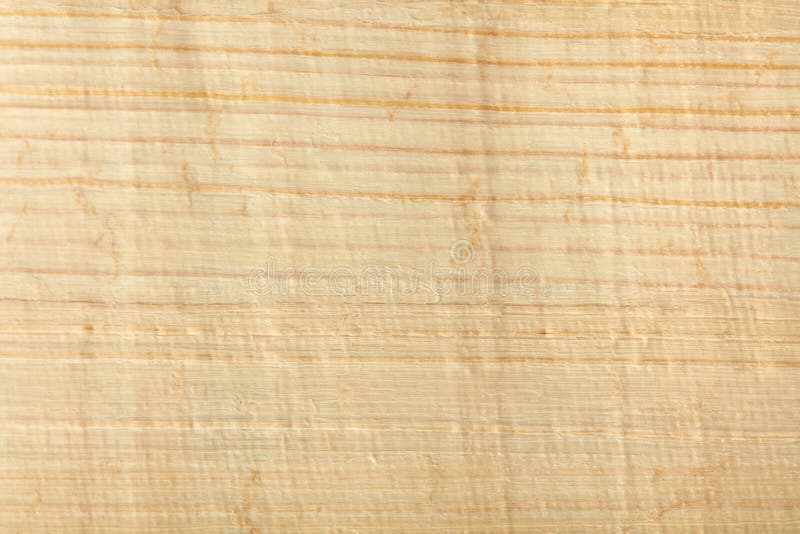 Papyrus Paper Texture Background Stock Photo - Image of parchment ...