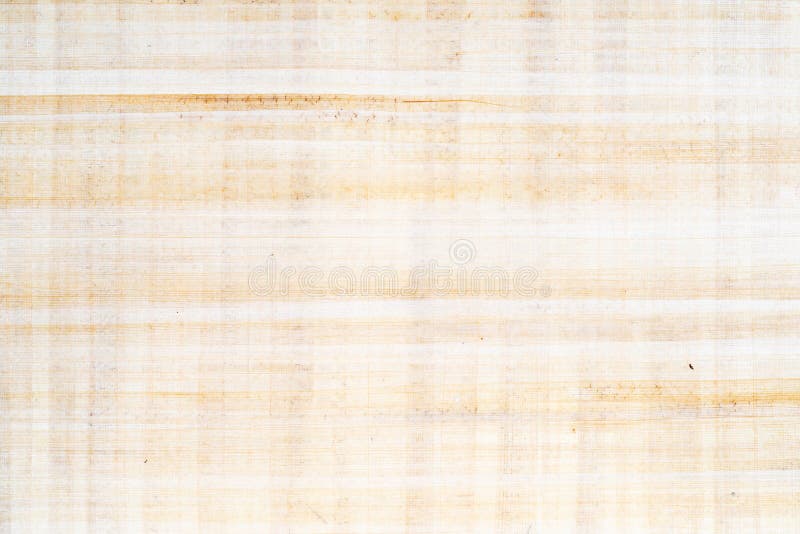 Black and white papyrus texture - statada