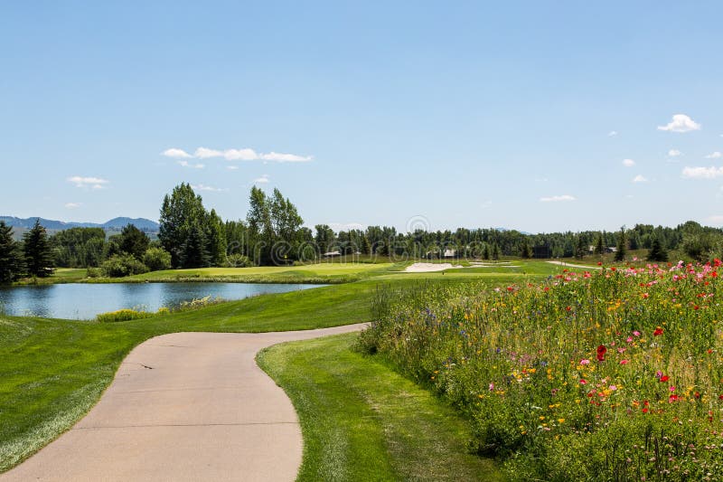 Par three stock image. Image of bunker, driver, evergreen - 39609101