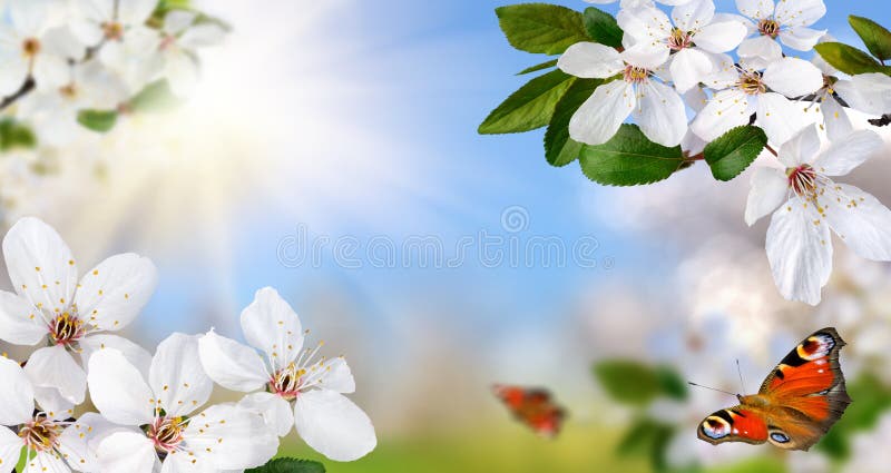 1,700,387 Fotos de Stock de Primavera - Fotos de Stock Gratuitas e Sem ...