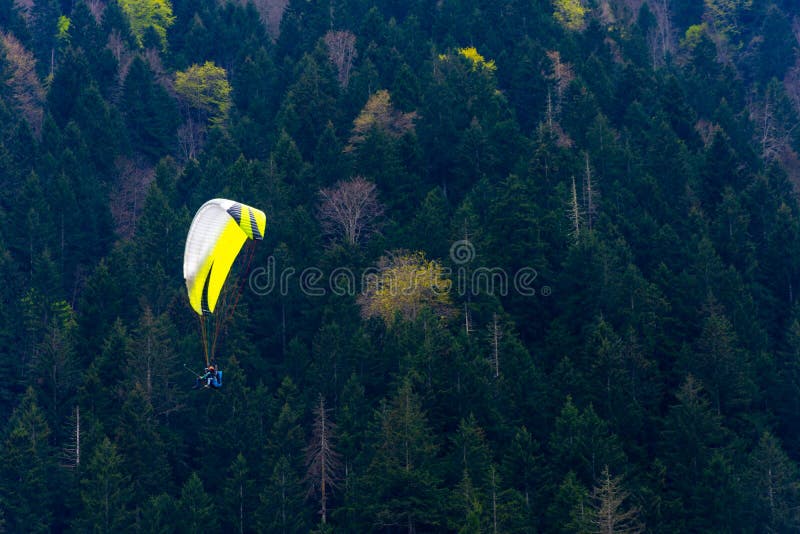 Para-glider through the Air Over the Forest Stock Image - Image of ...