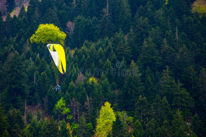 Para-glider through the Air Over the Forest Stock Image - Image of ...
