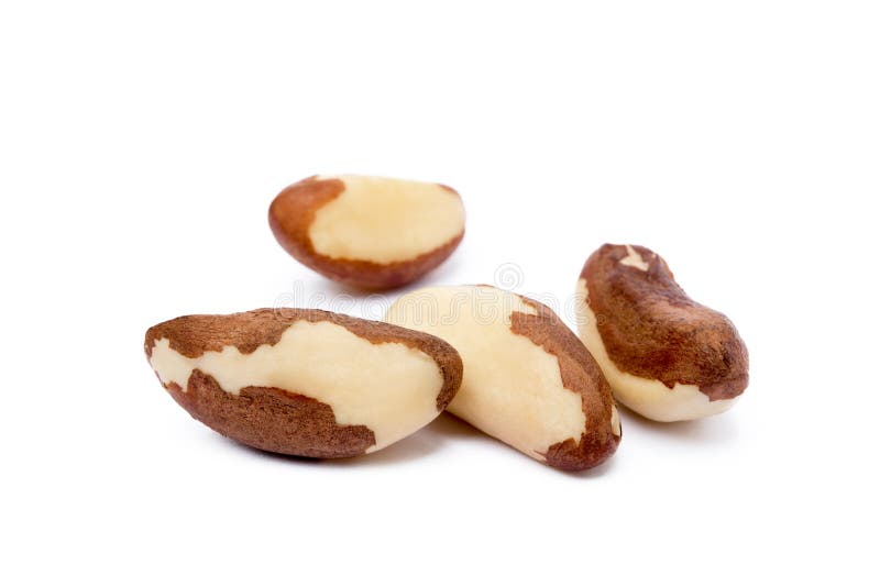 Para nuts isolated stock photo. Image of castania, detail - 100174440