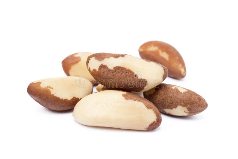 Para nuts isolated stock photo. Image of ingredient - 101311574