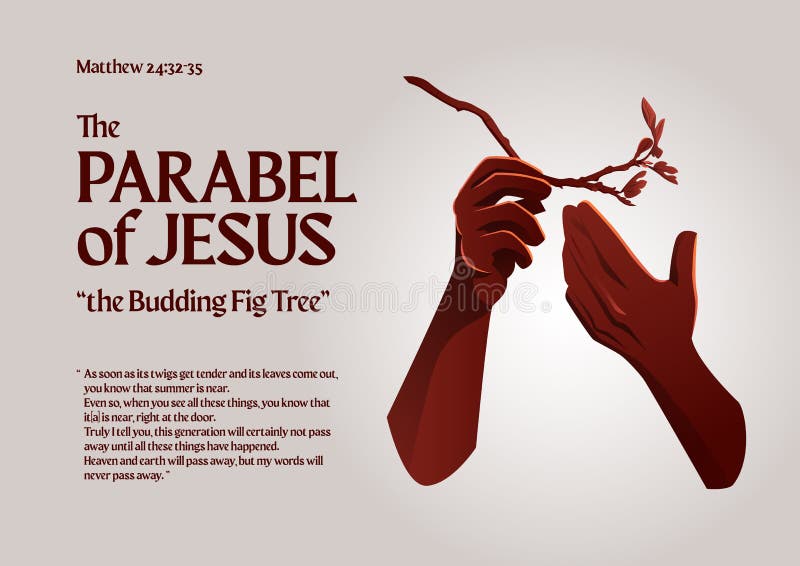 Parable of Jesus Christ about the Budding Fig Tree Stock Vector ...