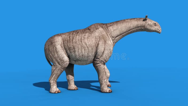 Paraceratherium Dinosaurs Walks Back Blue Screen 3D Renderings ...