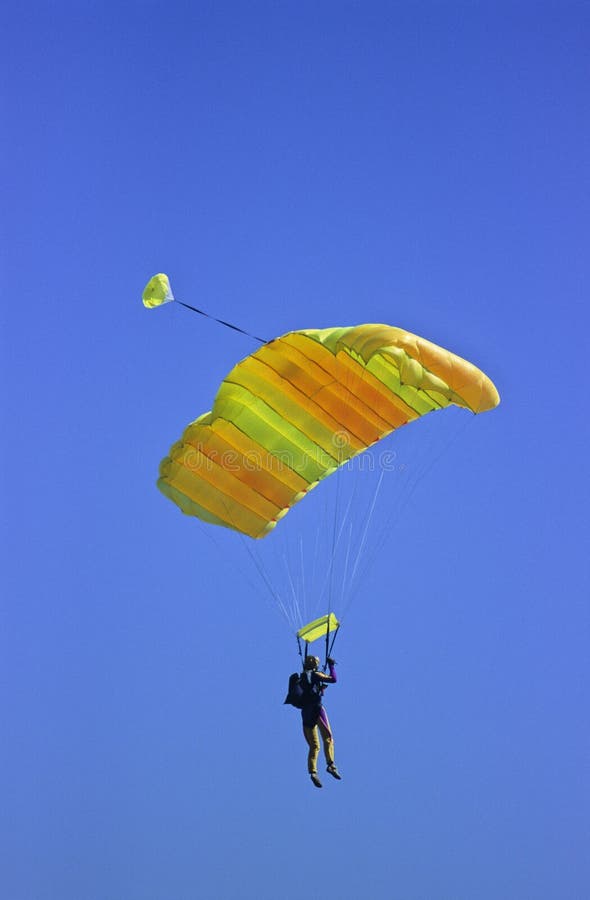 Parrot stock photo. Image of animal, nature, white, black - 4066818