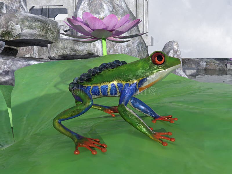 Parachute frog stock illustration. Illustration of nature - 111682659