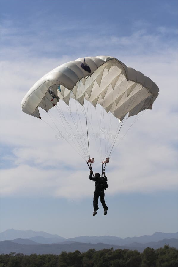 Free Fall Sky Dive stock image. Image of military, skydive - 6994961
