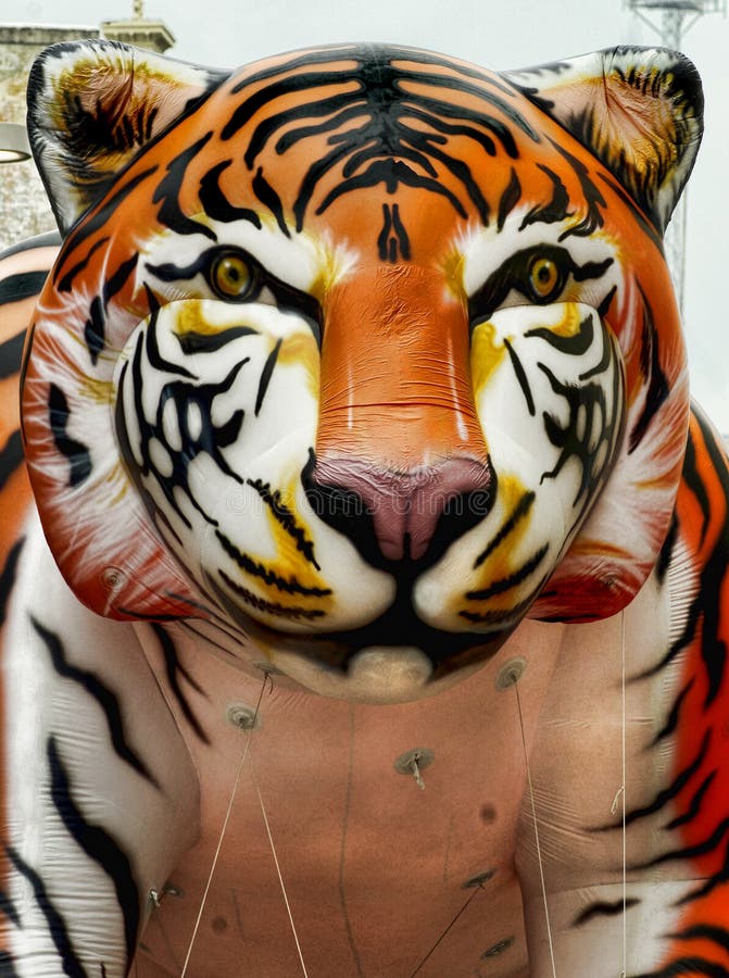 Tiger Parade Float Stock Photos - Free & Royalty-Free Stock Photos from ...