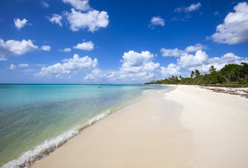 Paradies-Strand stockbild. Bild von blau, tageslicht - 37358027