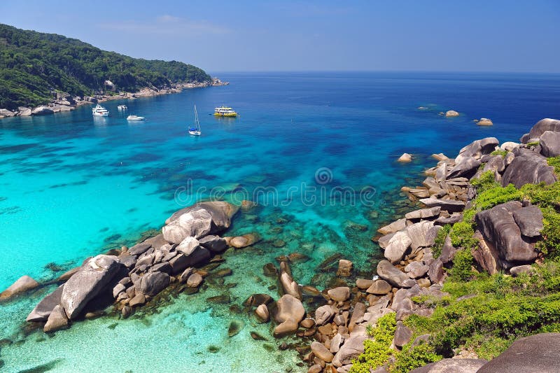 De Kunst Van De Boom, Similan Eilanden, Zuiden Van Thailand Stock ...