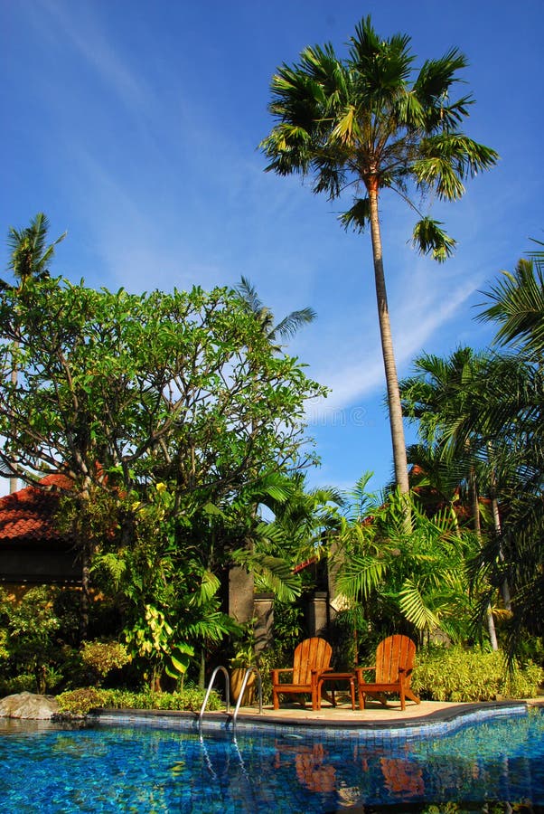Paradise stock image. Image of pool, heaven, luxury, palm - 16686077