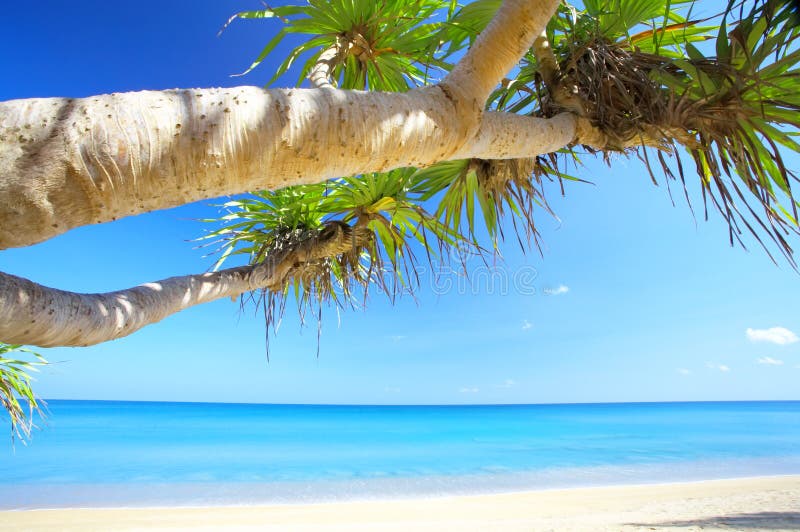 World map stock illustration. Illustration of america - 2256820