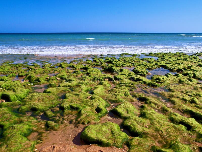 Paradise Beach at the Ocean with Green Rocks Stock Image - Image of ...