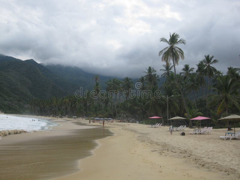 Paradise Beach in Venezuela Stock Photo - Image of palm, sand: 92711520