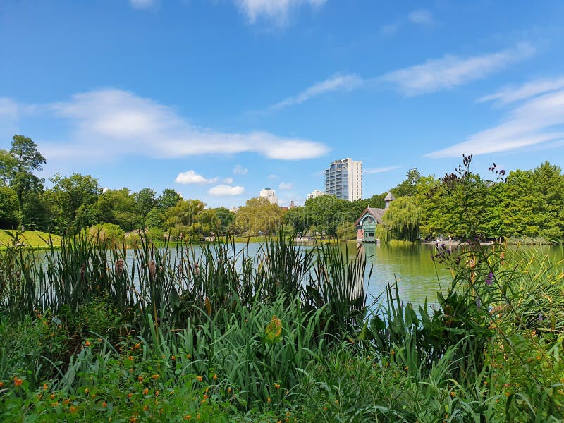 Paradise in the city stock photo. Image of lake, paradise - 169983230