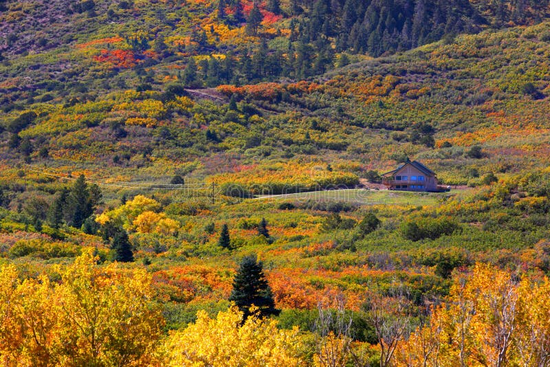 Trail through Colorado Prairie Stock Photo - Image of grassland, trail ...